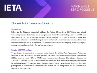 Article 6 Hub | IETA